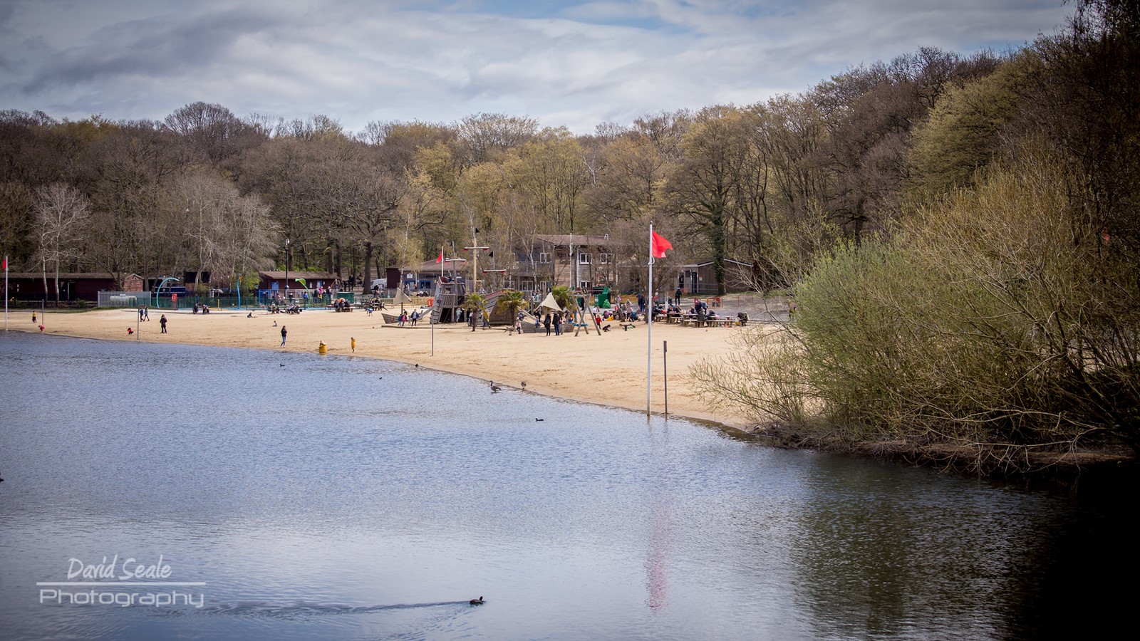 David Seale Picture Of The Beach At The Lido Ruislip